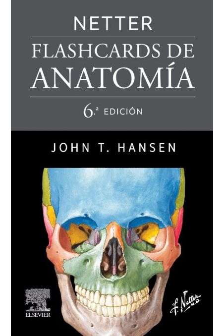 Flashcards de anatomia de netter