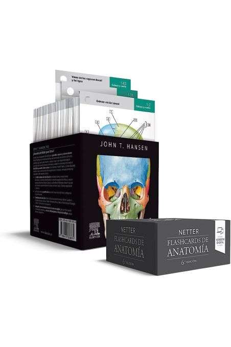 Flashcards de anatomia de netter