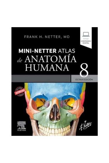 Mini netter atlas de anatomia humana